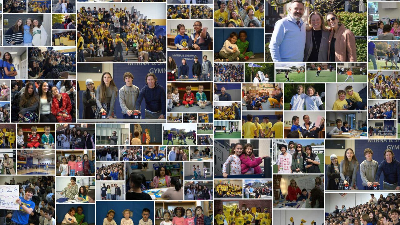 School Life Highlights | D-E today